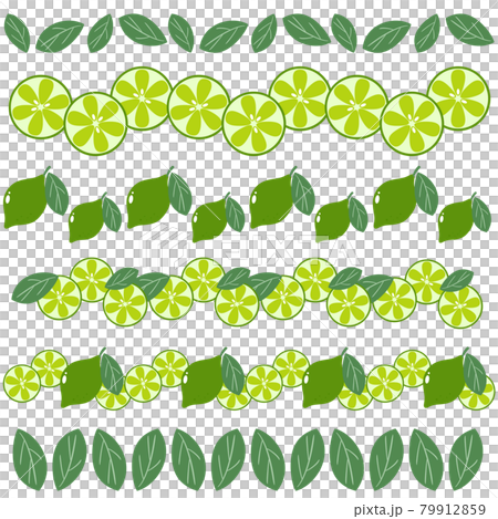 Lime line set - Stock Illustration [79912859] - PIXTA