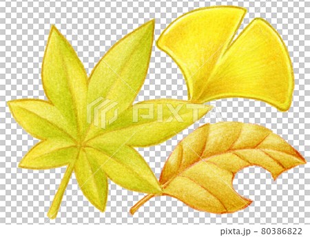 Deformed colored pencil drawing of fallen... - Stock Illustration ...