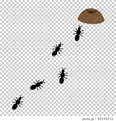 Column of ants - Stock Illustration [80549372] - PIXTA