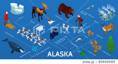 Alaska Isometric Infographicsのイラスト素材 [80609089] - PIXTA