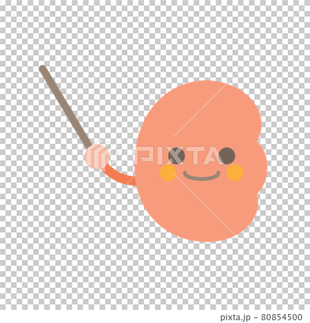 Pointer kidney smile - Stock Illustration [80854500] - PIXTA