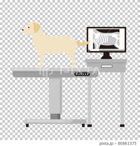 X-ray and dog on the examination table - Stock Illustration [80861375 ...