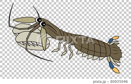 Shako character illustration - Stock Illustration [80935046] - PIXTA