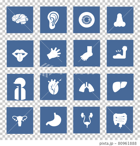 Human body built-in pictogram Blue Ksquareframeのイラスト素材 [80961888] - PIXTA