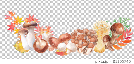 秋のキノコの収穫イメージバナー背景。いろいろなきのこで飾ったフレームデザイン。水彩イラスト。のイラスト素材 [81305740] - PIXTA