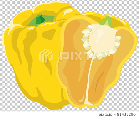 Yellow paprika, cross section - Stock Illustration [81433290] - PIXTA