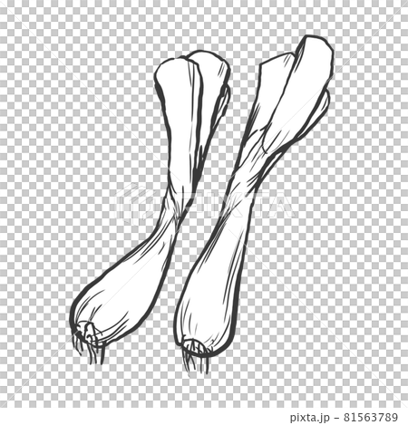 Japanese style hand-drawn line drawing... - Stock Illustration ...