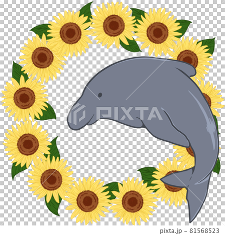 Sunflower wreath and dolphin - Stock Illustration [81568523] - PIXTA