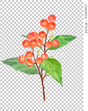 Senryo watercolor illustration New Year's material - Stock Illustration ...