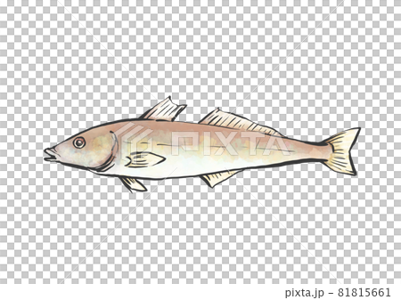 Japanese style hand-drawn illustration of... - Stock Illustration ...