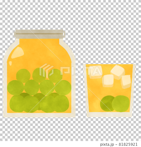 Umeshu illustration - Stock Illustration [81825921] - PIXTA