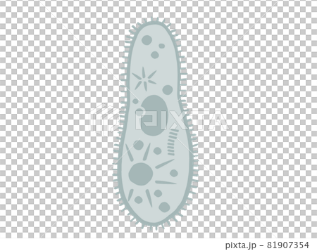 Cute paramecium / handwritten illustration - Stock Illustration ...