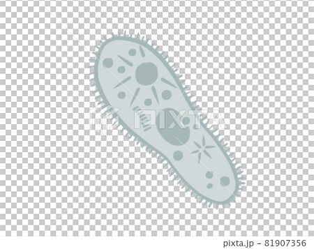 Cute paramecium / handwritten illustration - Stock Illustration ...