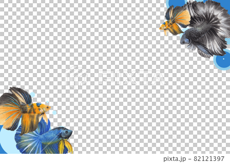 Betta fish frame watercolor - Stock Illustration [82121397] - PIXTA