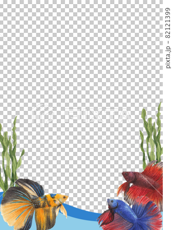 Betta fish frame watercolor - Stock Illustration [82121399] - PIXTA