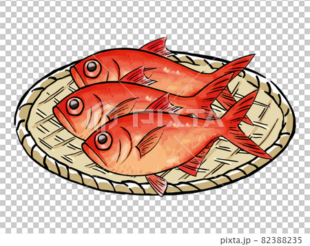 Hand-painted watercolor-style golden sea bream - Stock Illustration ...