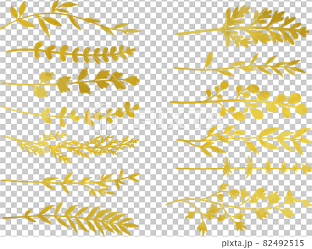 Gold leaf / plant line set vector material - Stock Illustration ...