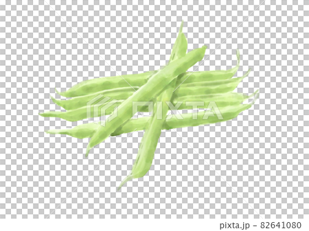 6 beans - Stock Illustration [82641080] - PIXTA