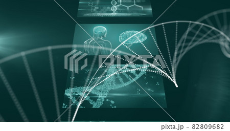 Image of dna spinning and screens with medical...のイラスト素材 [82809682] - PIXTA