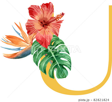 Tropical alphabet watercolorのイラスト素材 [82821824] - PIXTA
