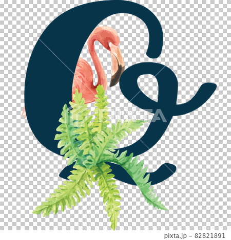 Tropical alphabet watercolor - Stock Illustration [82821891] - PIXTA