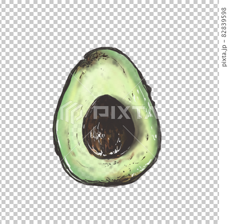 Avocado cross section illustration - Stock Illustration [82839598] - PIXTA