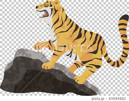 Tiger barking on a rock (tiger) Real taste... - Stock Illustration ...