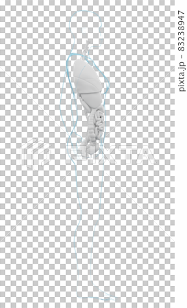 Human body CG Drawing the entire internal... - Stock Illustration ...