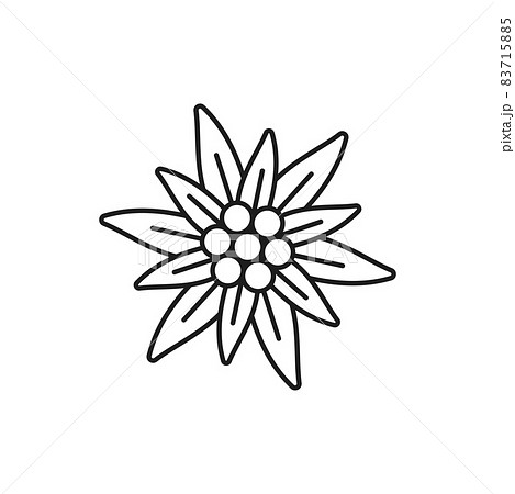 Switzerland National Flower