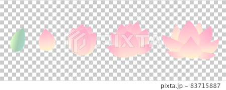 Illustration of lotus flower Growth process set... - Stock Illustration ...