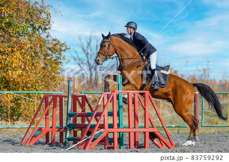 Bay Horse Jumping Without Rider