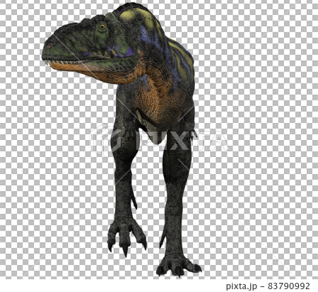 Aucasaurus ☆ Aucasaurus - Stock Illustration [83790992] - PIXTA