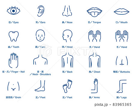 Human Body Parts Icon