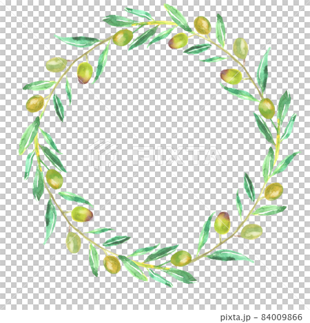 Olive circle frame drawn in watercolor - Stock Illustration [84009866 ...