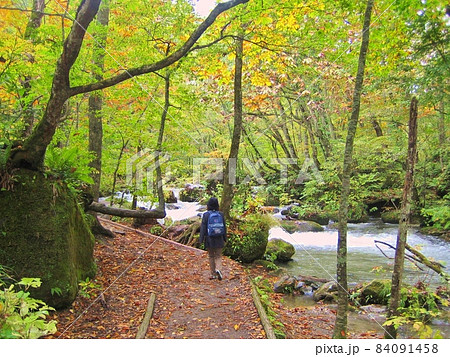 奥入瀬渓流 十和田湖 紅葉 遊歩道 清流の写真素材 [84091458] - PIXTA