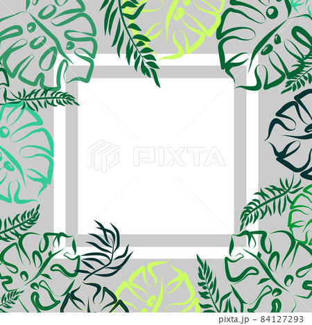 floral ornament from leaves frame on white and...のイラスト素材 [84127293] - PIXTA