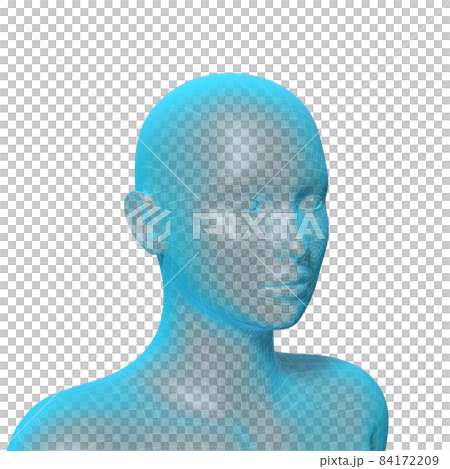 Female head, 3D model, transparent - Stock Illustration [84172209] - PIXTA