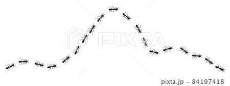 Ants trail curve. Ant path isolated in white...のイラスト素材 [84197418] - PIXTA