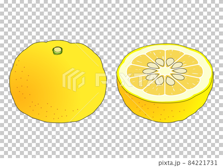 Illustration set of one yuzu seen from... - Stock Illustration ...