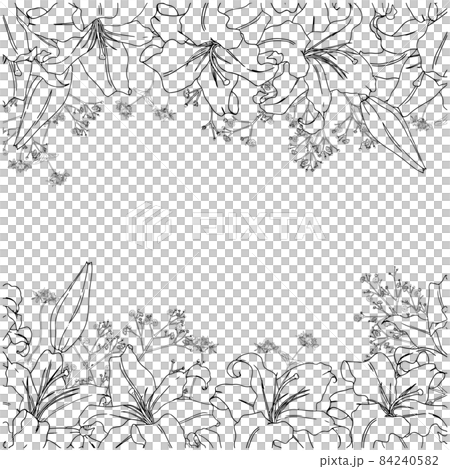 Lily frame ② (upper and lower, line drawing) - Stock Illustration ...