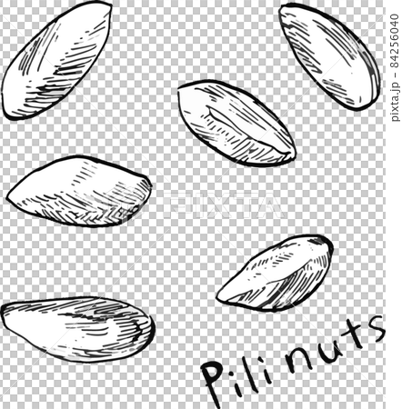 Black and white pen drawing vector illustration... - Stock Illustration ...