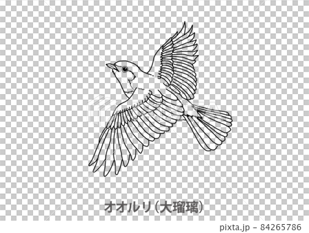 [Prefectural bird] Blue-and-white flycatcher... - Stock Illustration ...