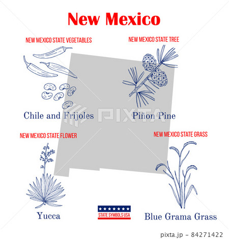 New Mexico State Vegetable