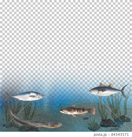 Seafish frame Watercolor Illustration - Stock Illustration [84343571 ...