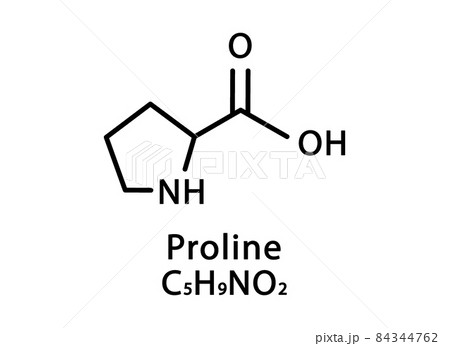 Proline Structure