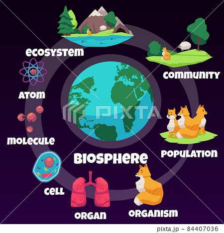 Biosphere Diagram Tracing A Modern Biosphere On Mars | Nature