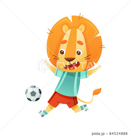 Animals Kicking Cartoon