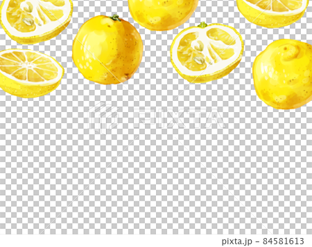 Hand-painted watercolor flower Yuzu... - Stock Illustration [84581613 ...