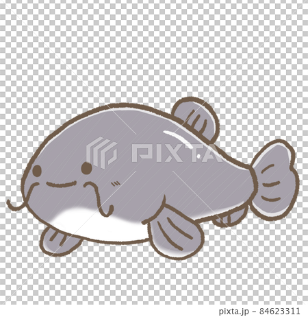 R: More fairy tale aquarium ☆ Catfish ② - Stock Illustration [84623311 ...