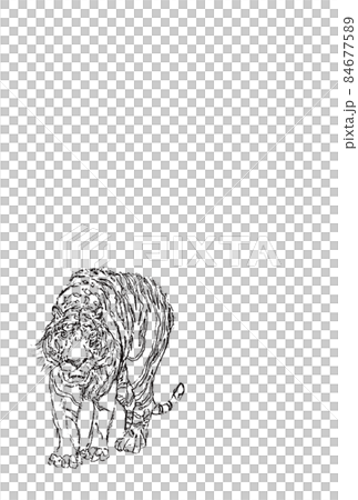 Front line drawing large vertical - Stock Illustration [84677589] - PIXTA